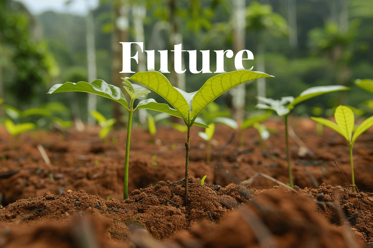 Forests for the future: Apple's $280 million plan